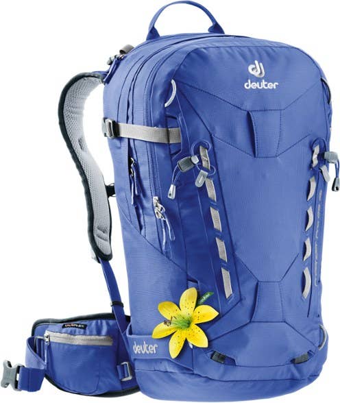 Editor's Picks: Best Ski Packs of 2026, Tested and Reviewed - Powder