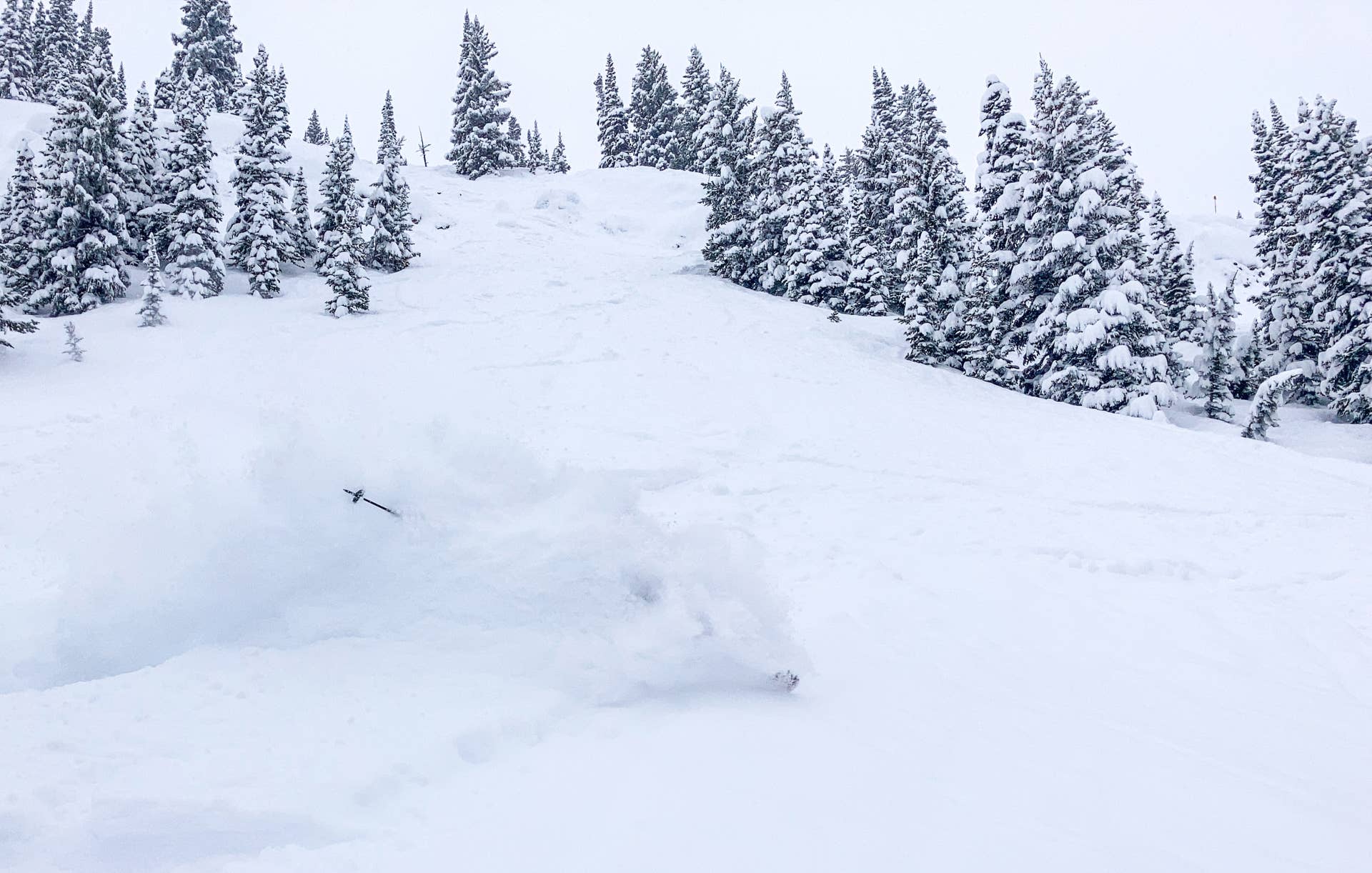 Powder Review: Armada ARV 116 JJ - POWDER