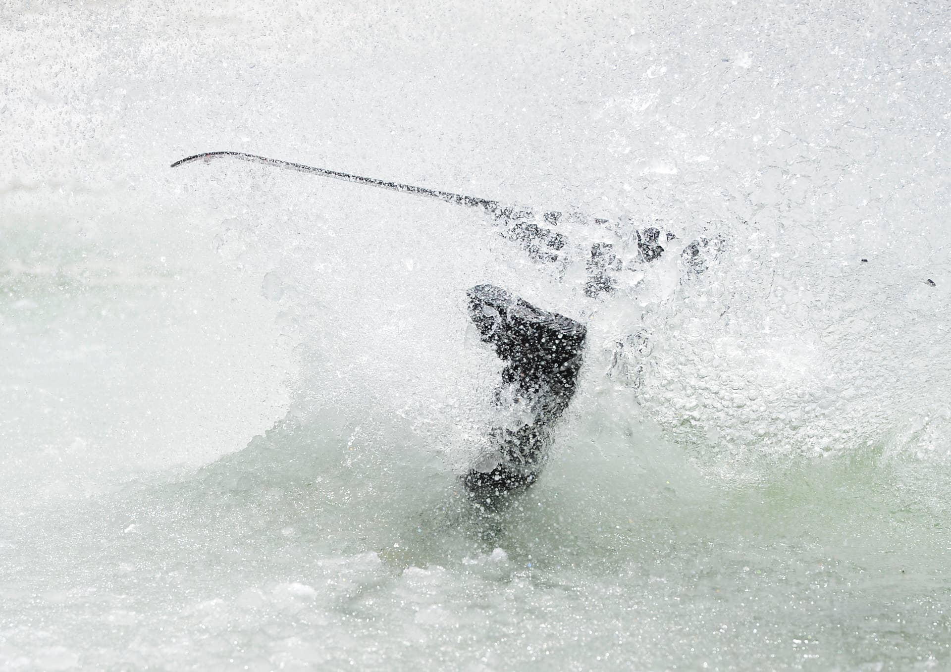 Mammoth Cancels Pond Skim, but Snow Is in the Forecast - Powder