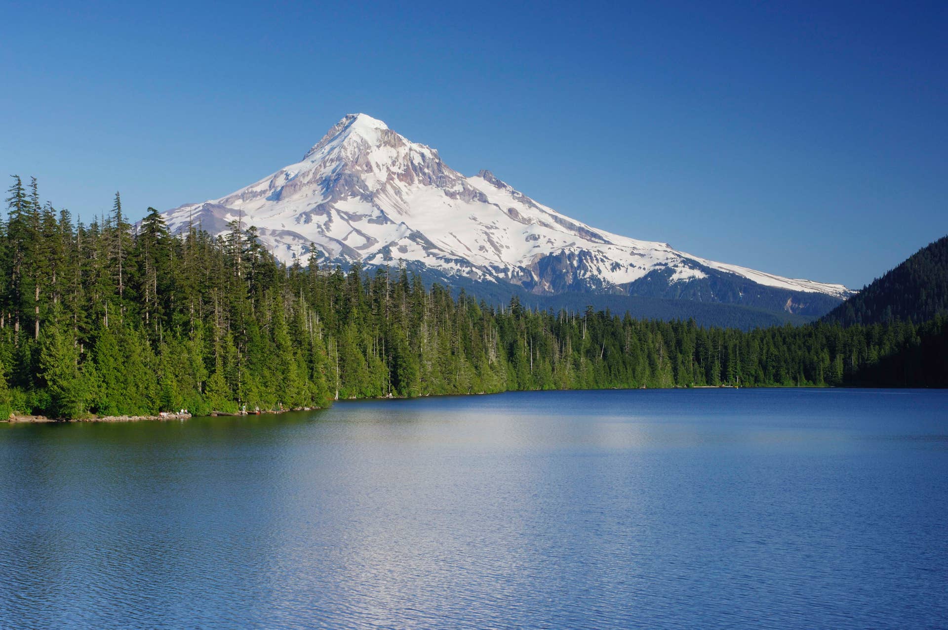 Timberline Lodge Cancels Gondola Project on Mt. Hood - POWDER
