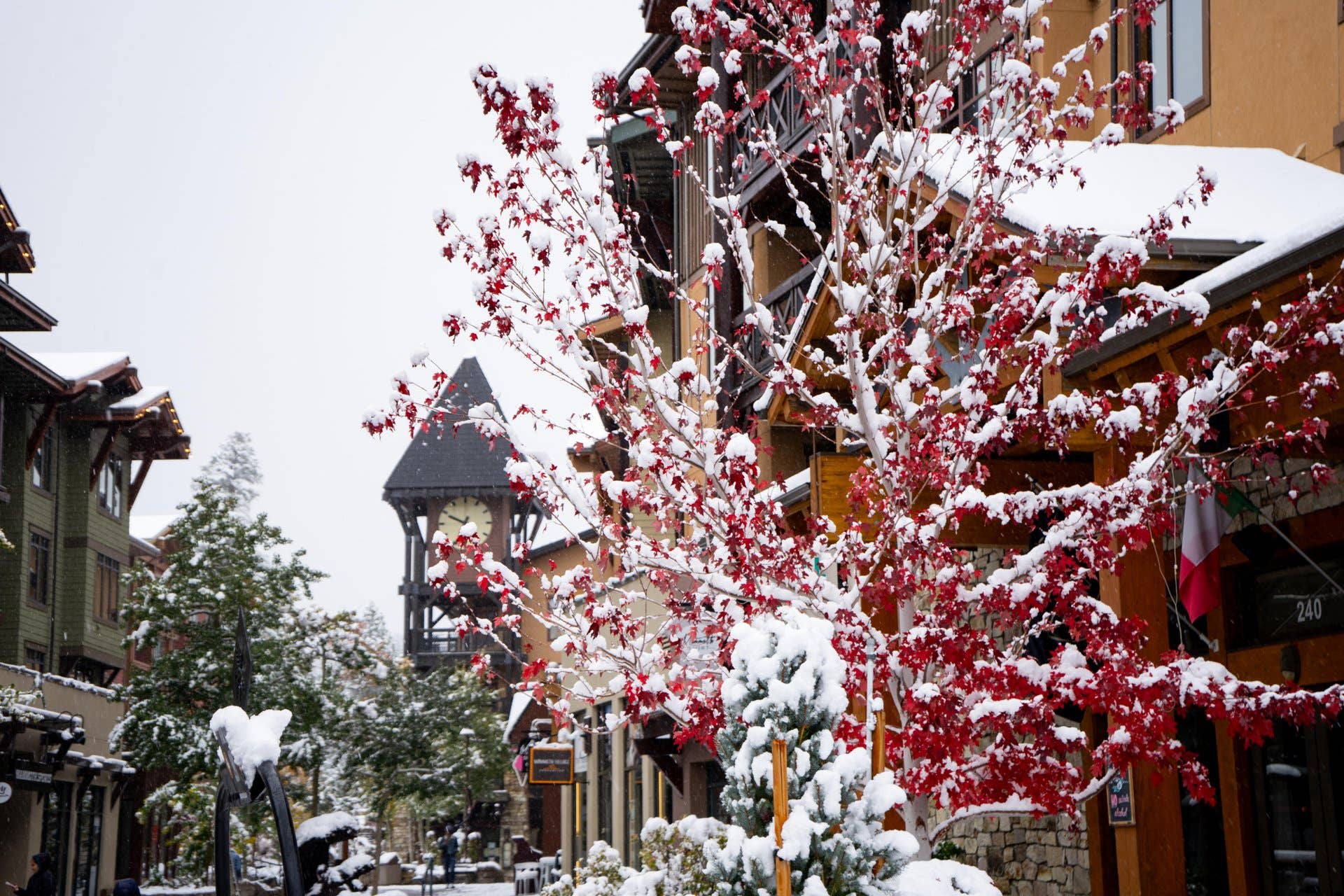 Mammoth Mountain Buried by 10+ Inches From October Storm - POWDER