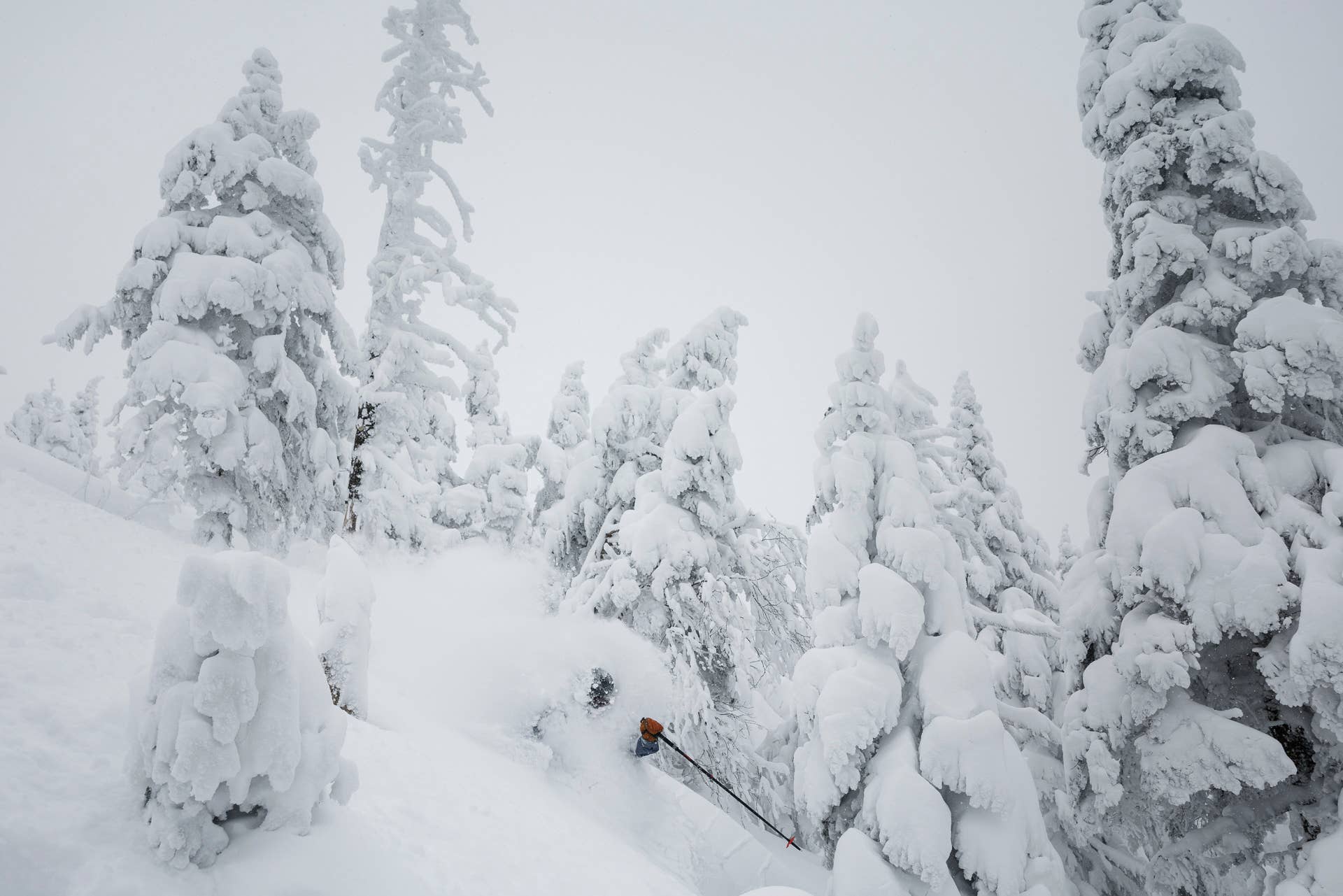 Remembering Vermont's Deep Winter of 24/25 - POWDER