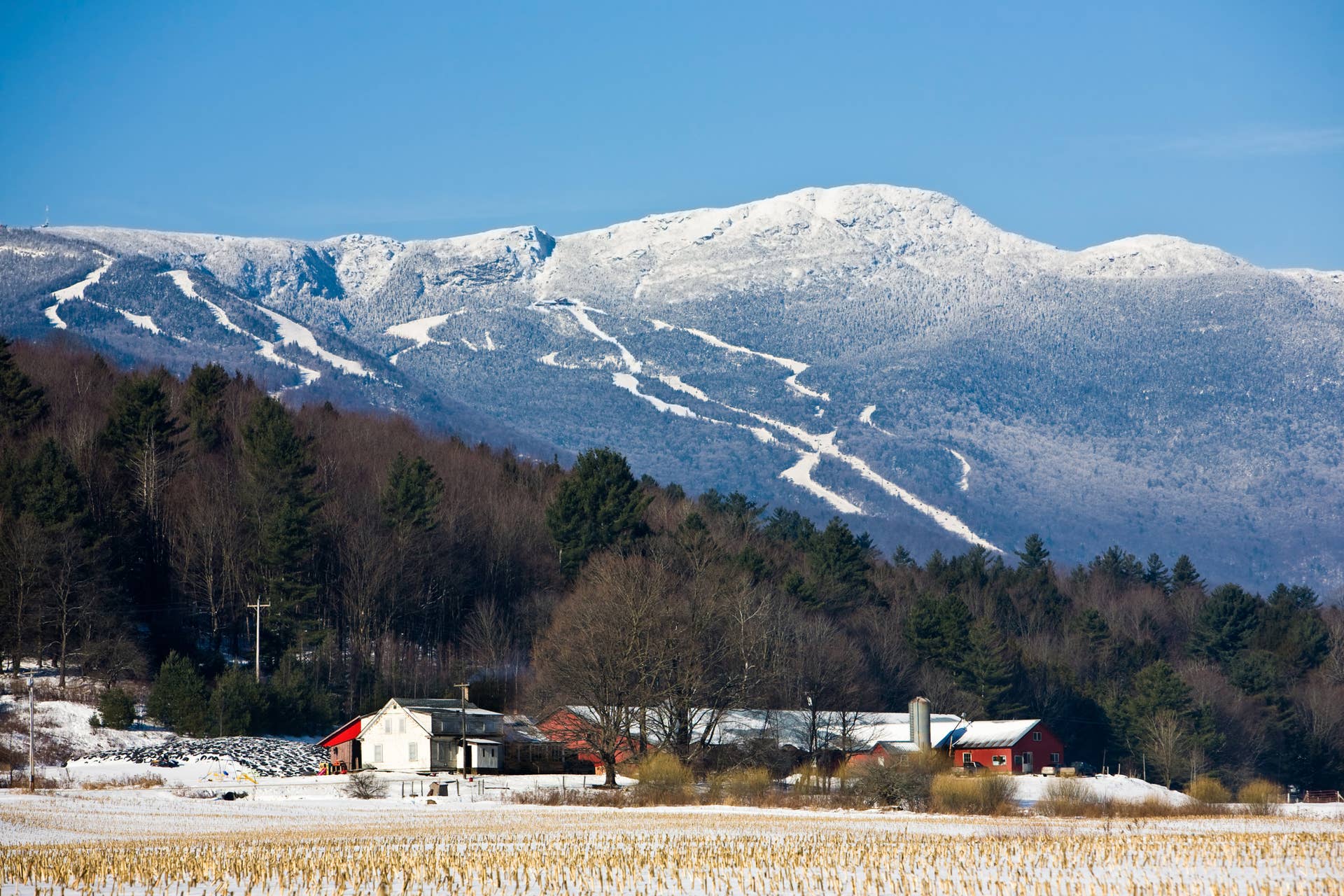 TikTok Blamed as Skiers Get Lost Near Stowe Resort - POWDER