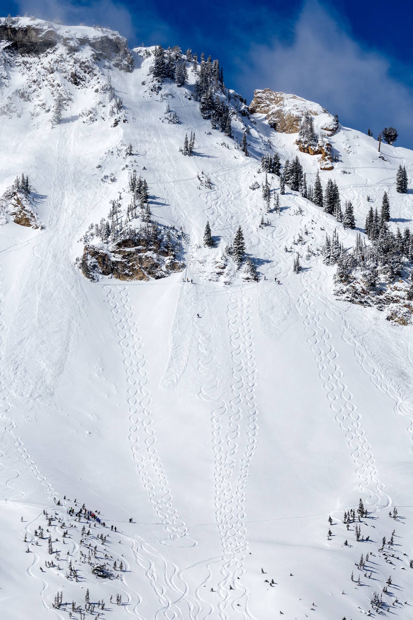 Alta Is Now Open for Uphill Travel, Including Snowboarding - POWDER