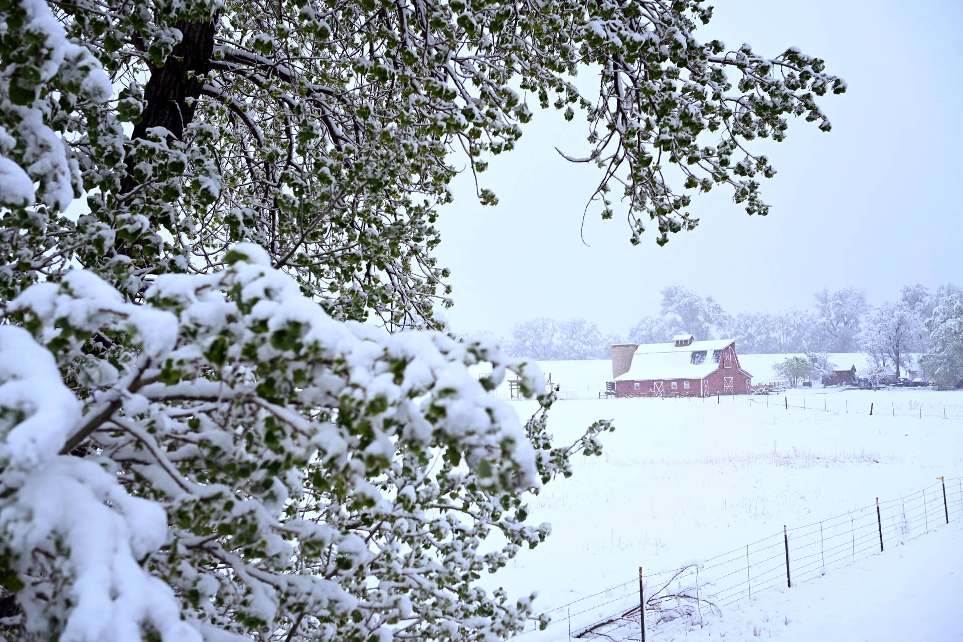 More Than Two Feet of Snow Buries Colorado From May Storm - POWDER