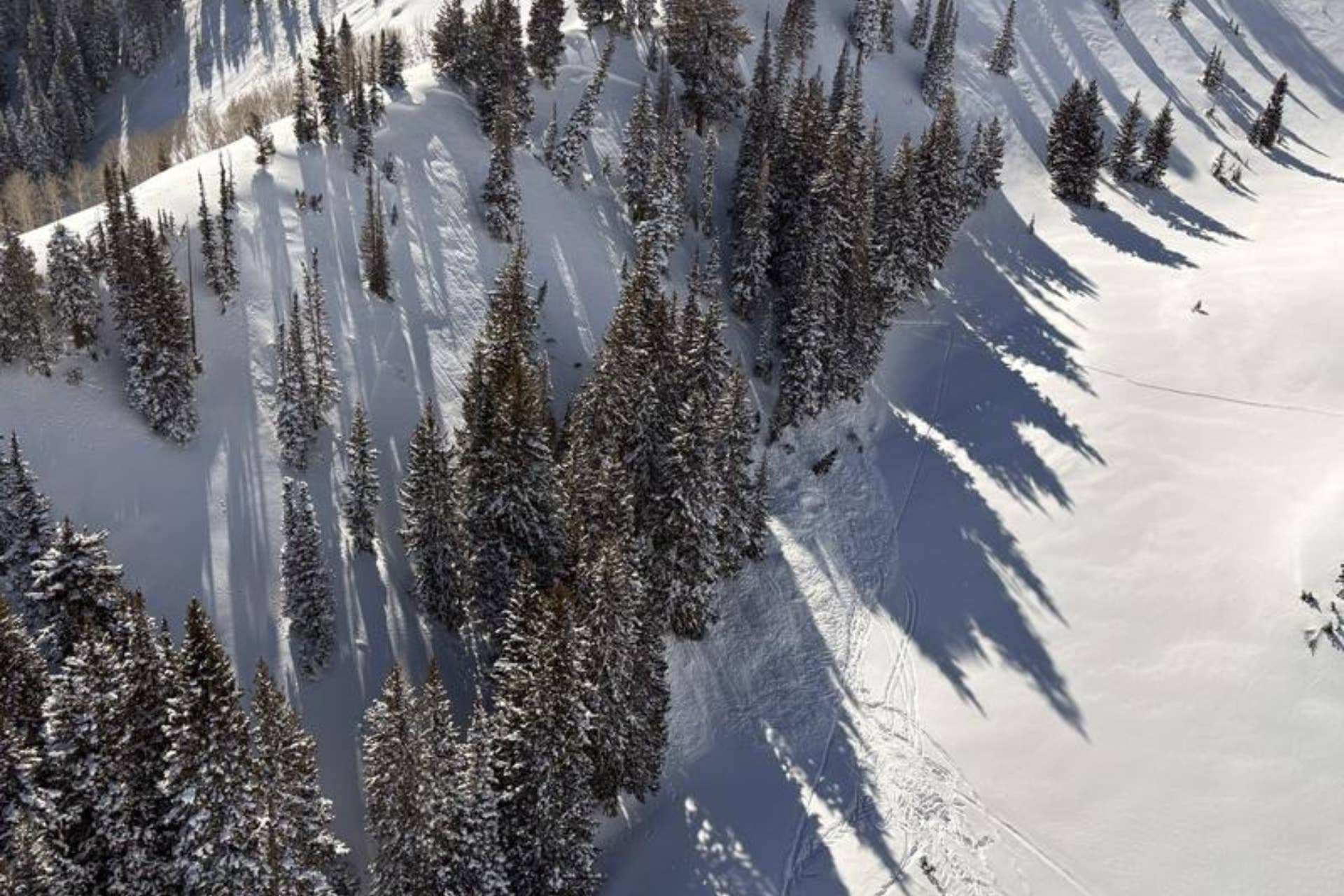 Utah Skier Dies From Injuries Sustained In Avalanche - POWDER