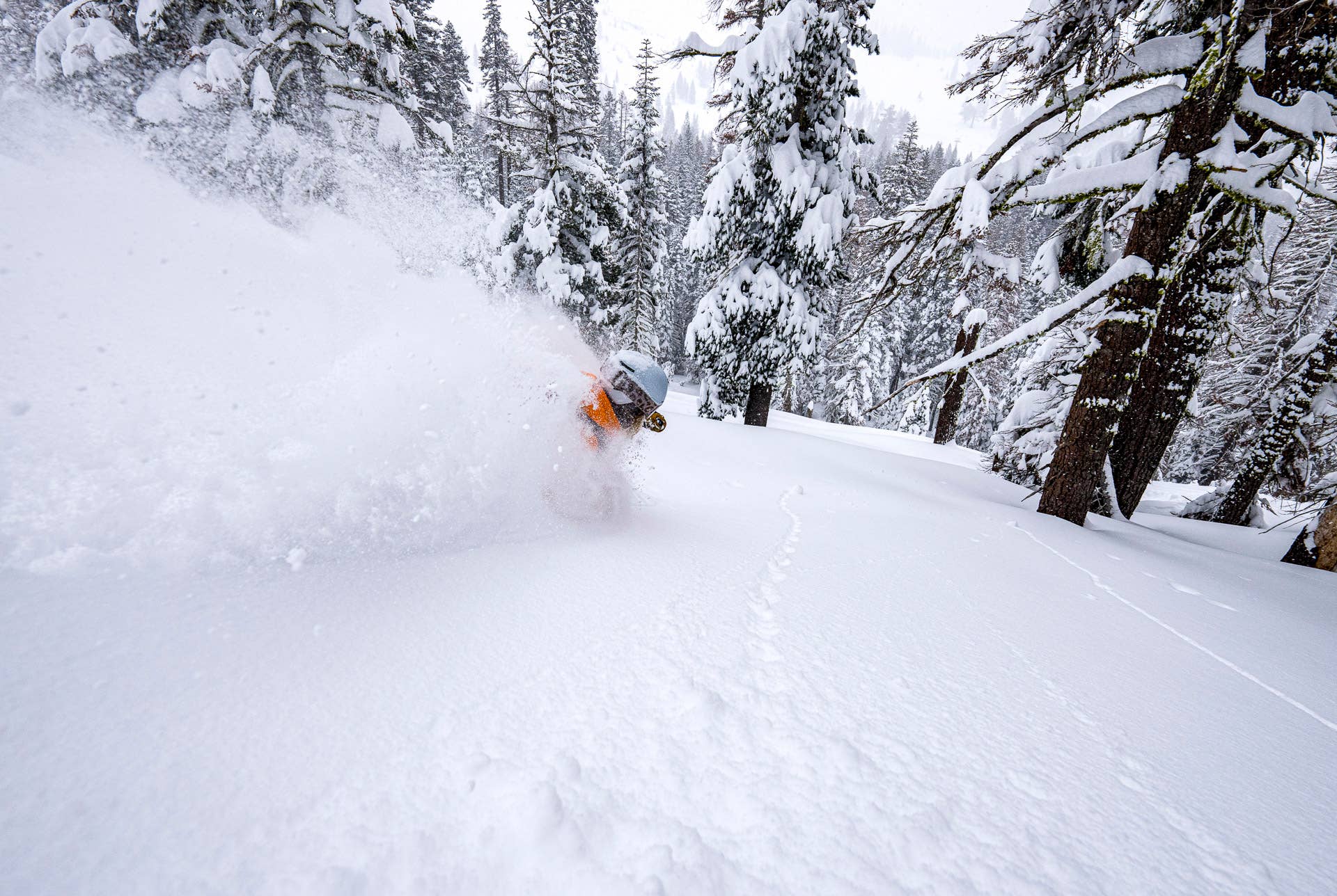 The POWDER Magazine 2026 Photo Annual Gallery Part 1 - Powder