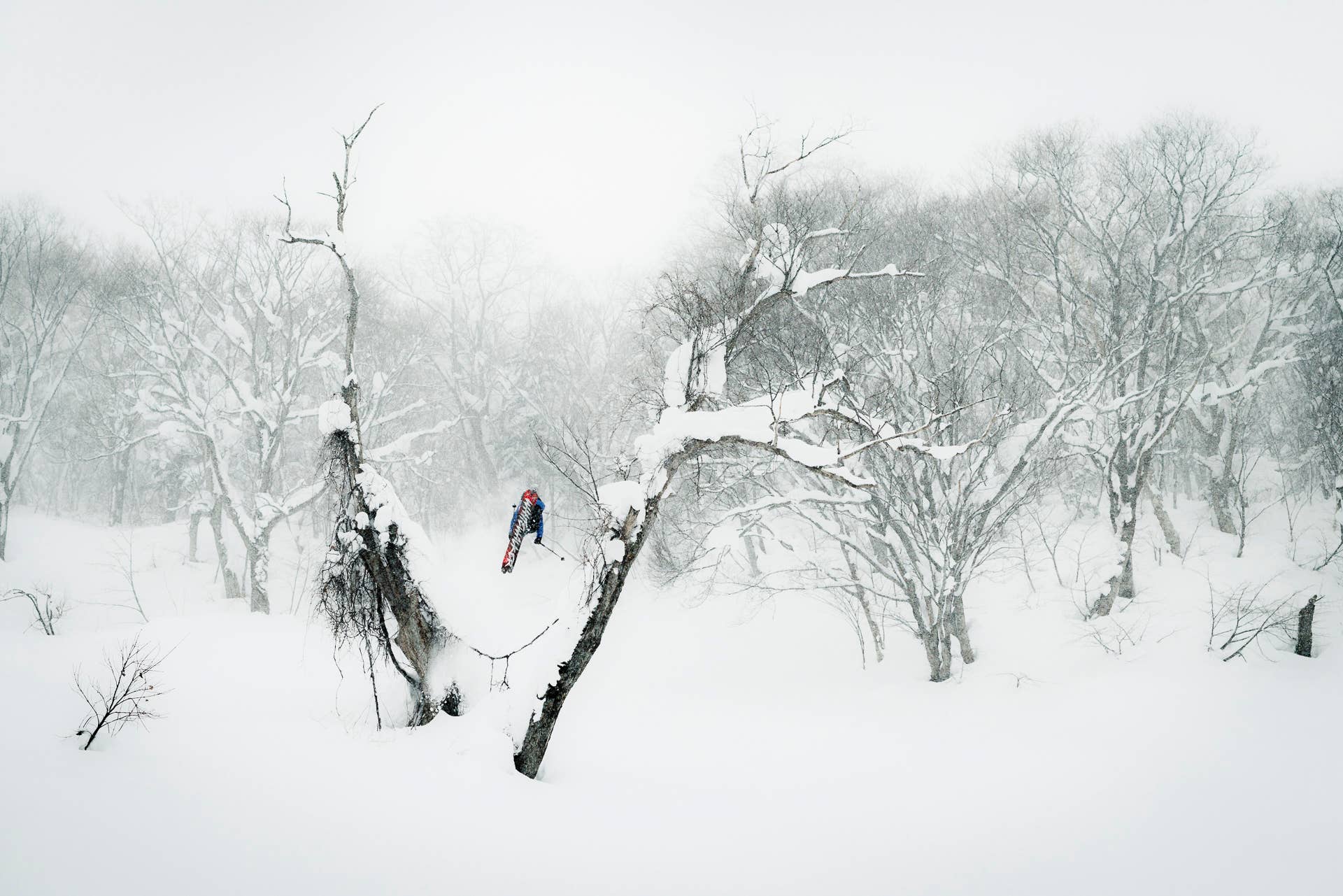 The POWDER Magazine 2026 Photo Annual Gallery Part 1 - Powder