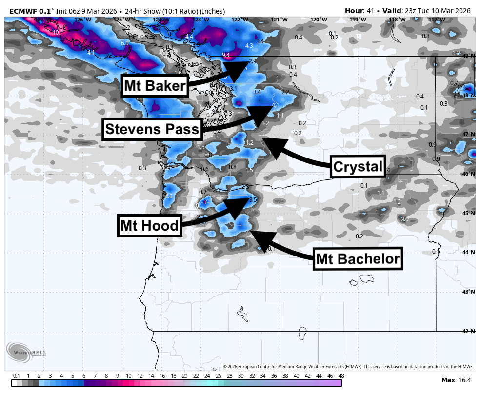 Washington Ski Resort Snow Forecast: March 9-14, 2026 - Powder