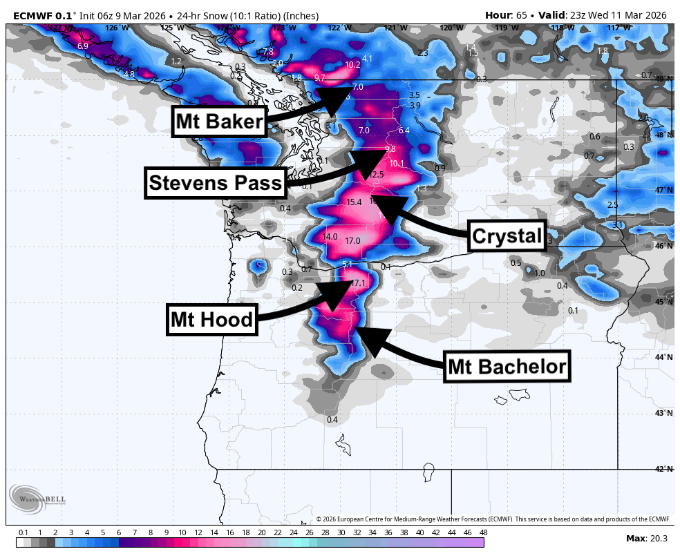 Washington Ski Resort Snow Forecast: March 9-14, 2026 - Powder
