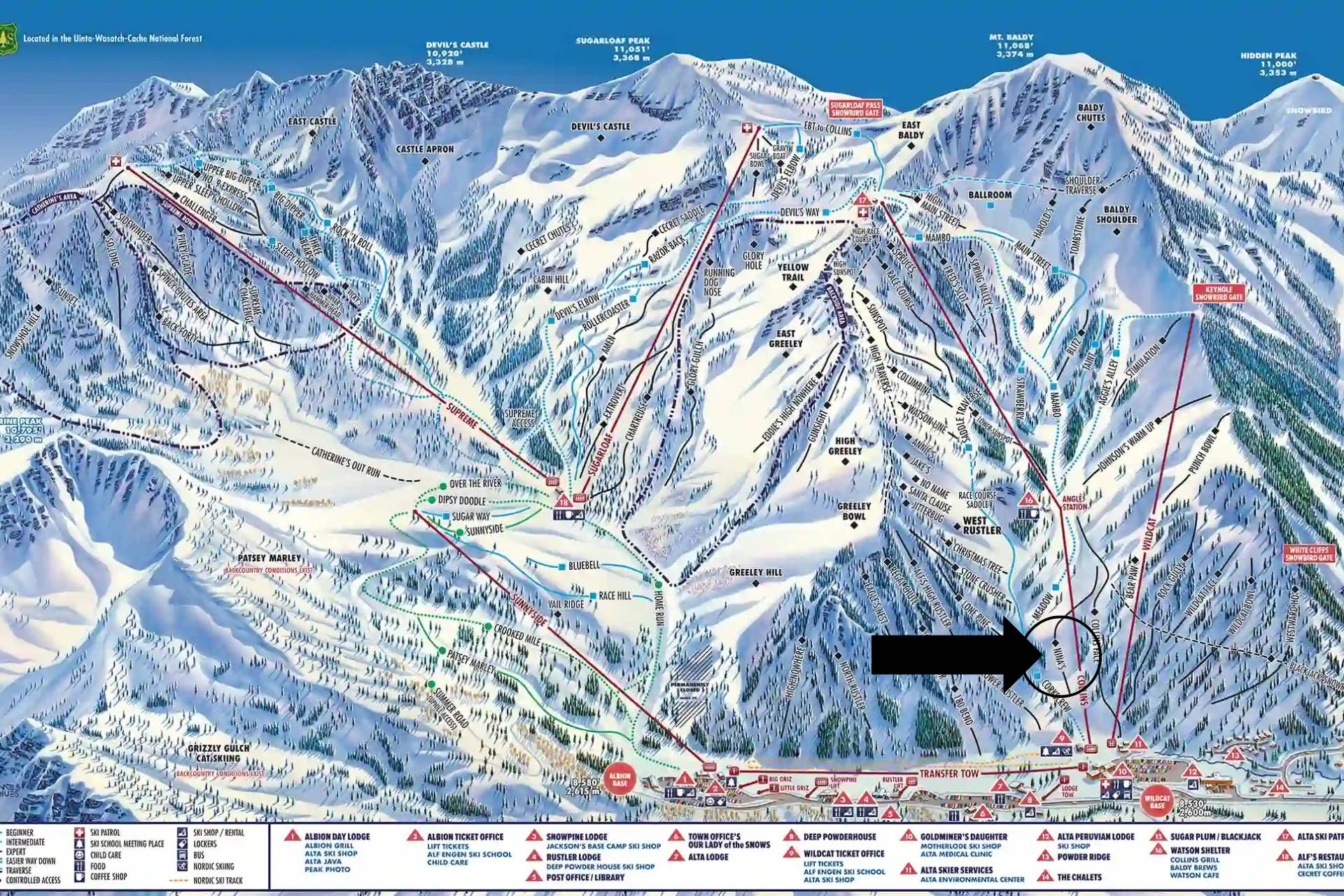 19-Year-Old Skier Dies at Alta Ski Area - Powder