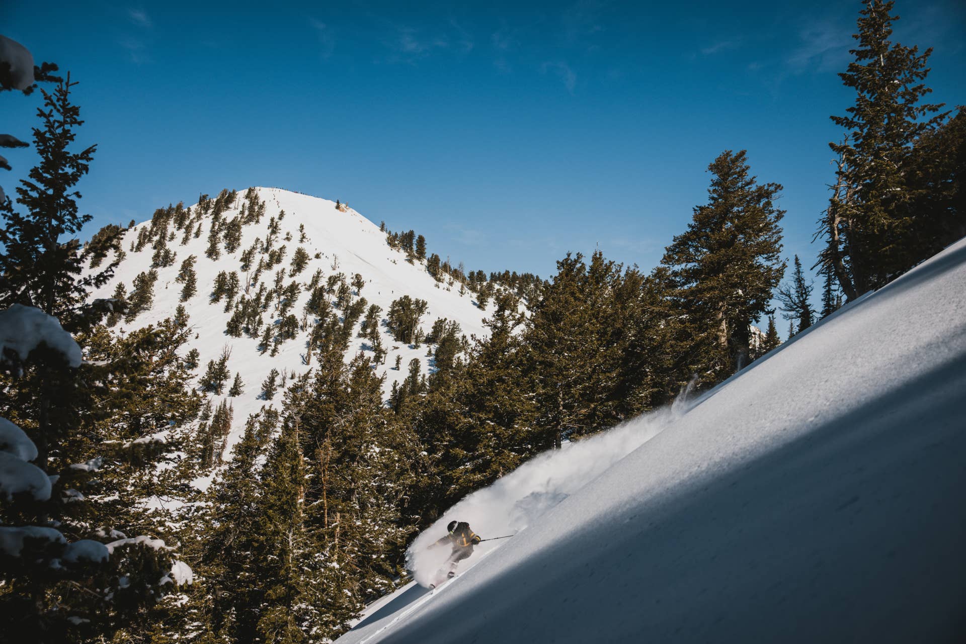 Powder Mountain Unveils New Lift and Terrain Called "DMI" - Powder