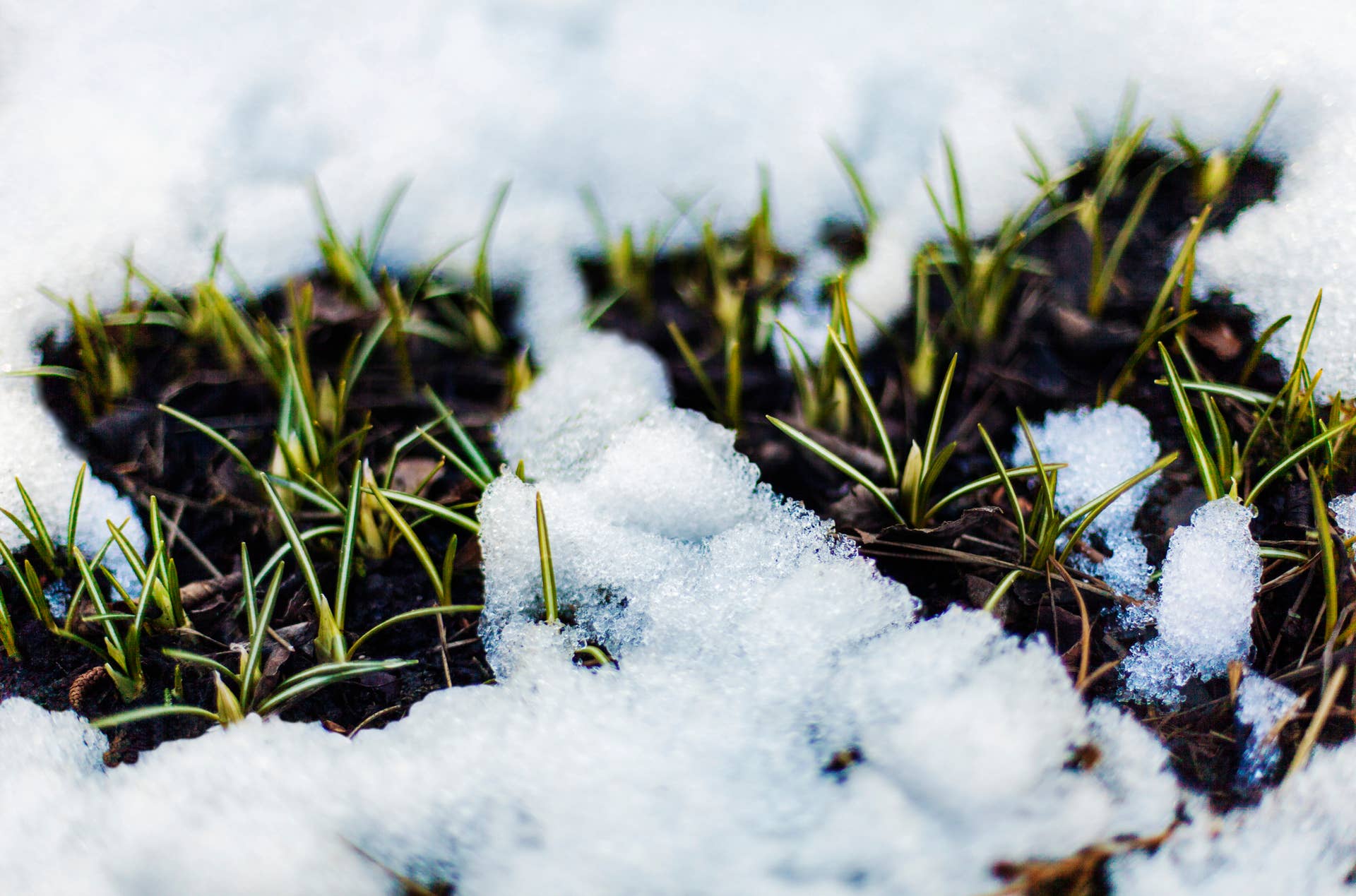 Mountain Snowmelt and Soaring Temps Expected Out West - POWDER