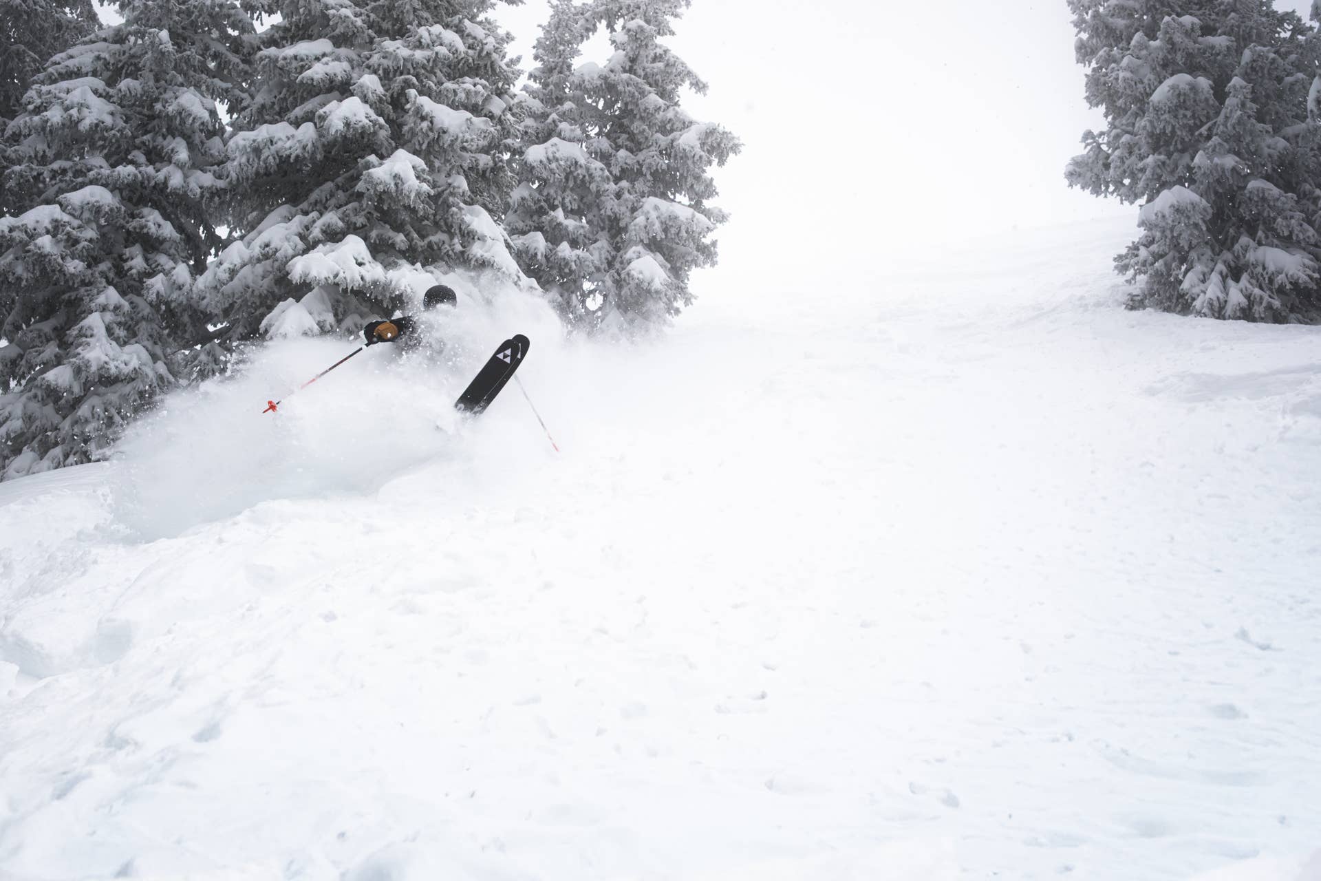Review: Fischer's Super-Secret Freeride Ski - POWDER