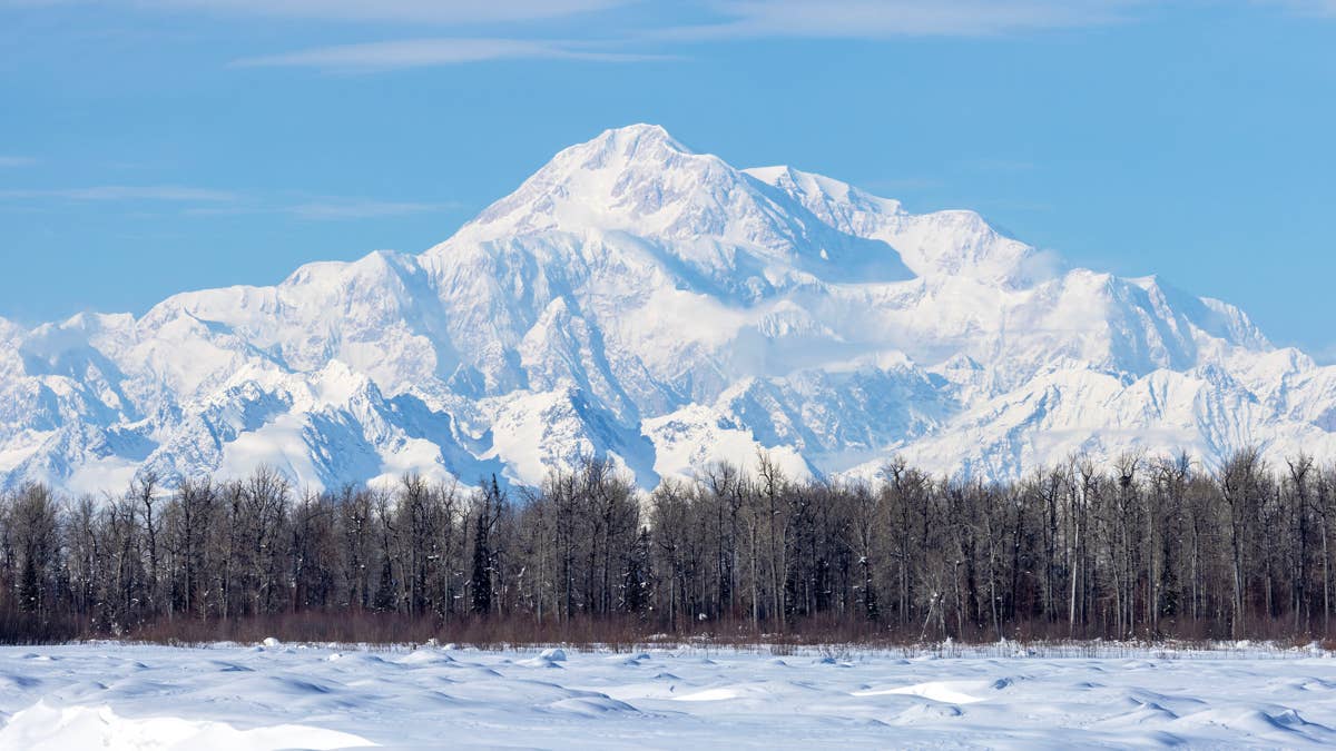 Fundraiser Started for Survivor of Accident in Denali National Park ...