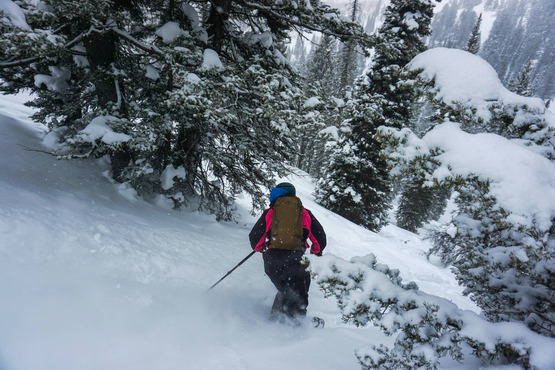 Powder Review: Gregory Verte 18 - Powder