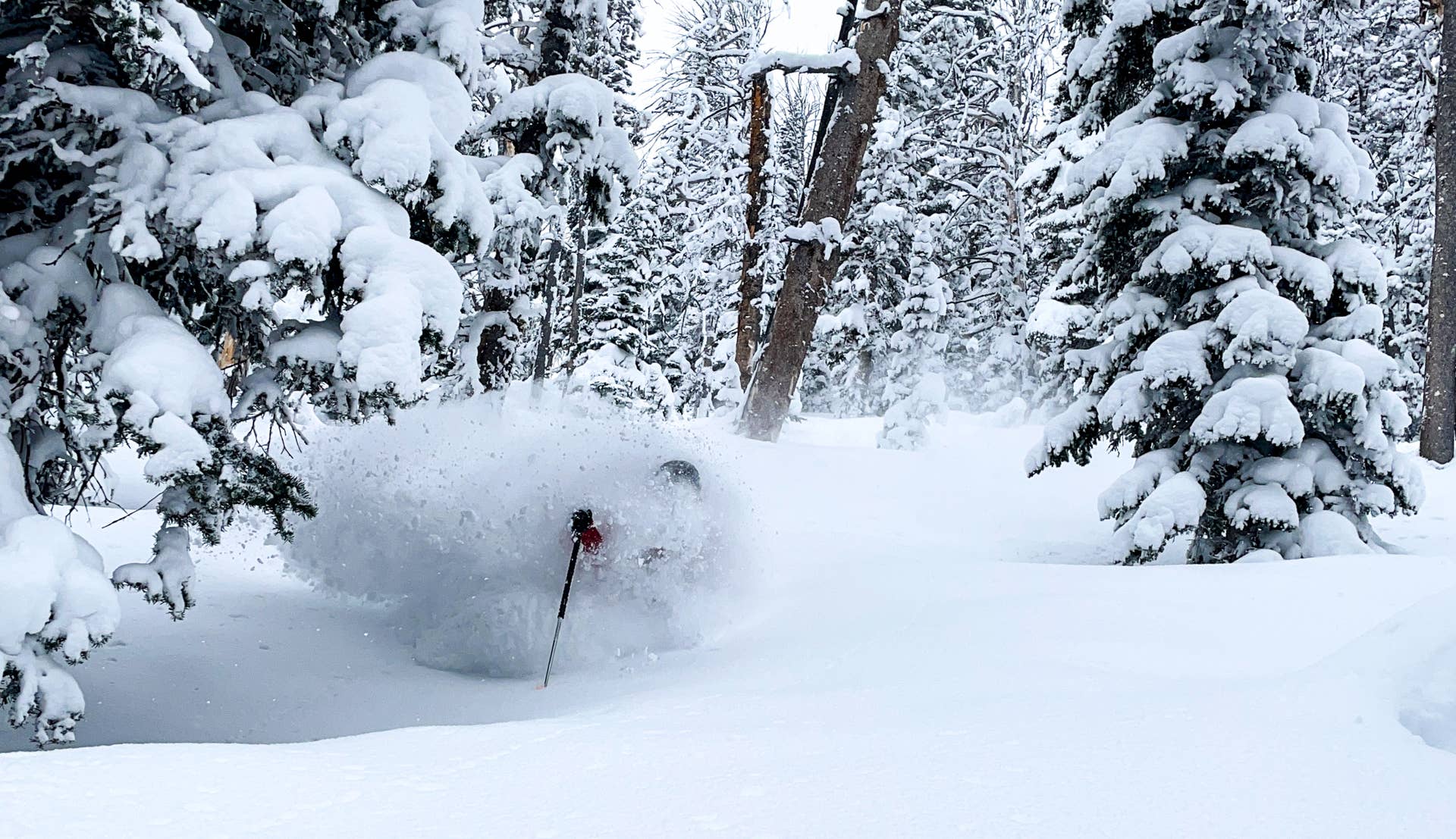 Review: Valhalla Ski 115 Bamboo Skis - Powder