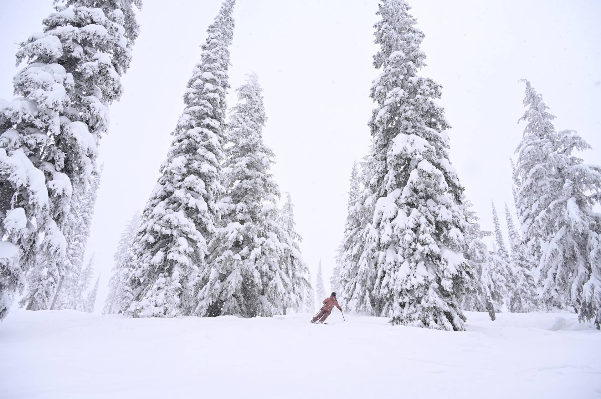 It's Time to Explore Idaho's Schweitzer Mountain Resort - Powder