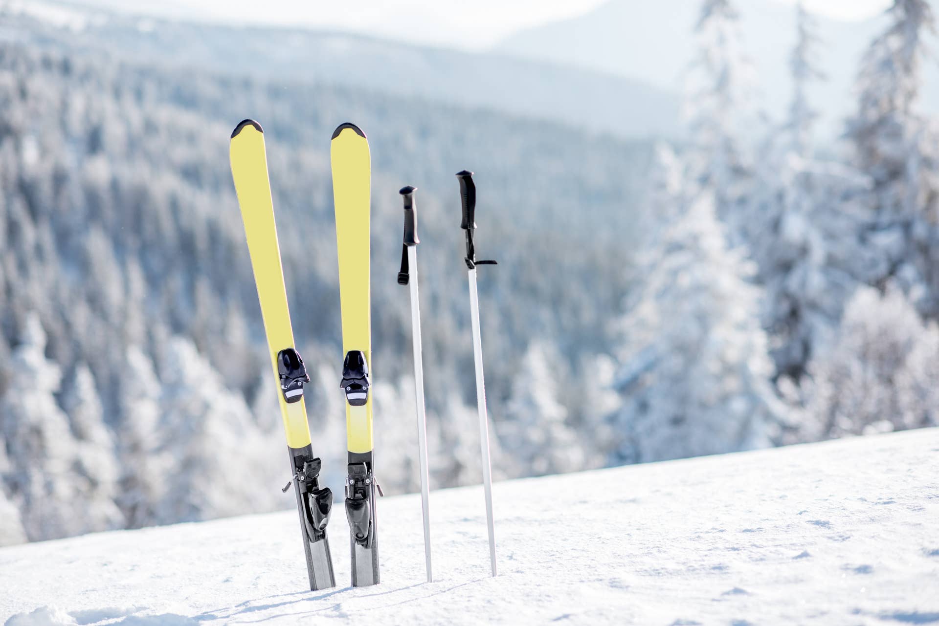 Ski Turns and Techniques: The Basic Guide - Powder