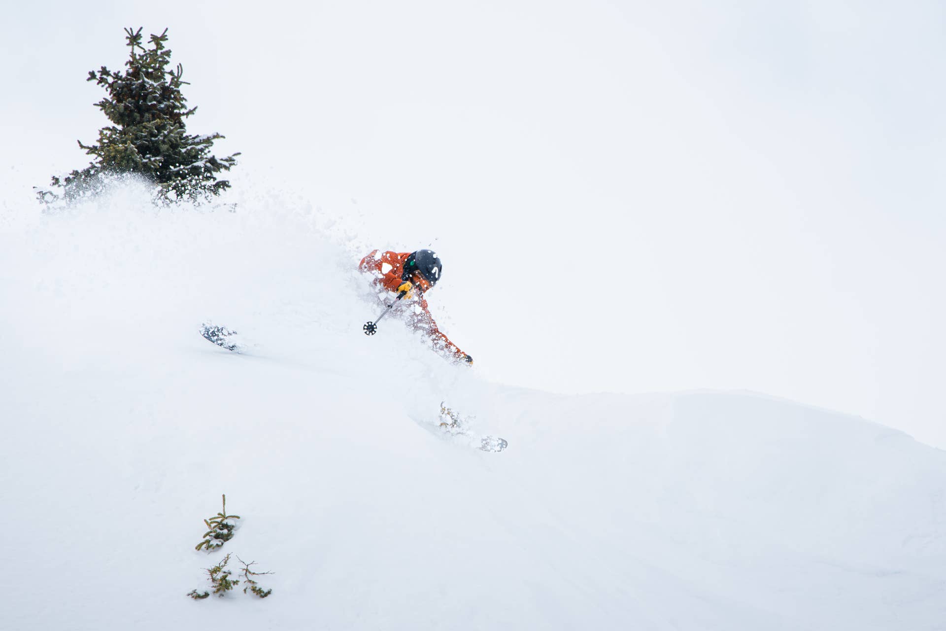 The 11 Different Types of Skis: A Complete Guide - Powder