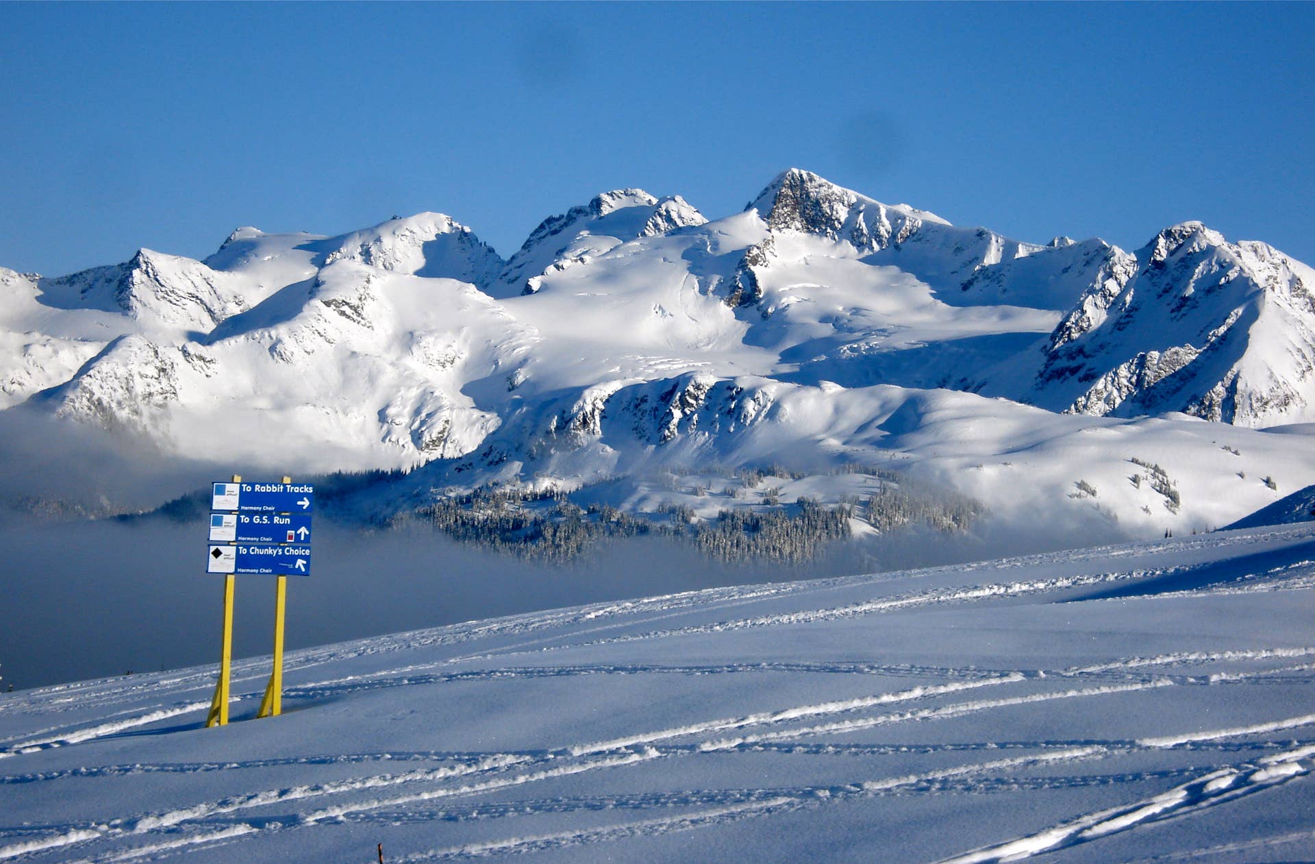 Ski Slope Ratings Explained: From Green to Black Diamond Runs - Powder