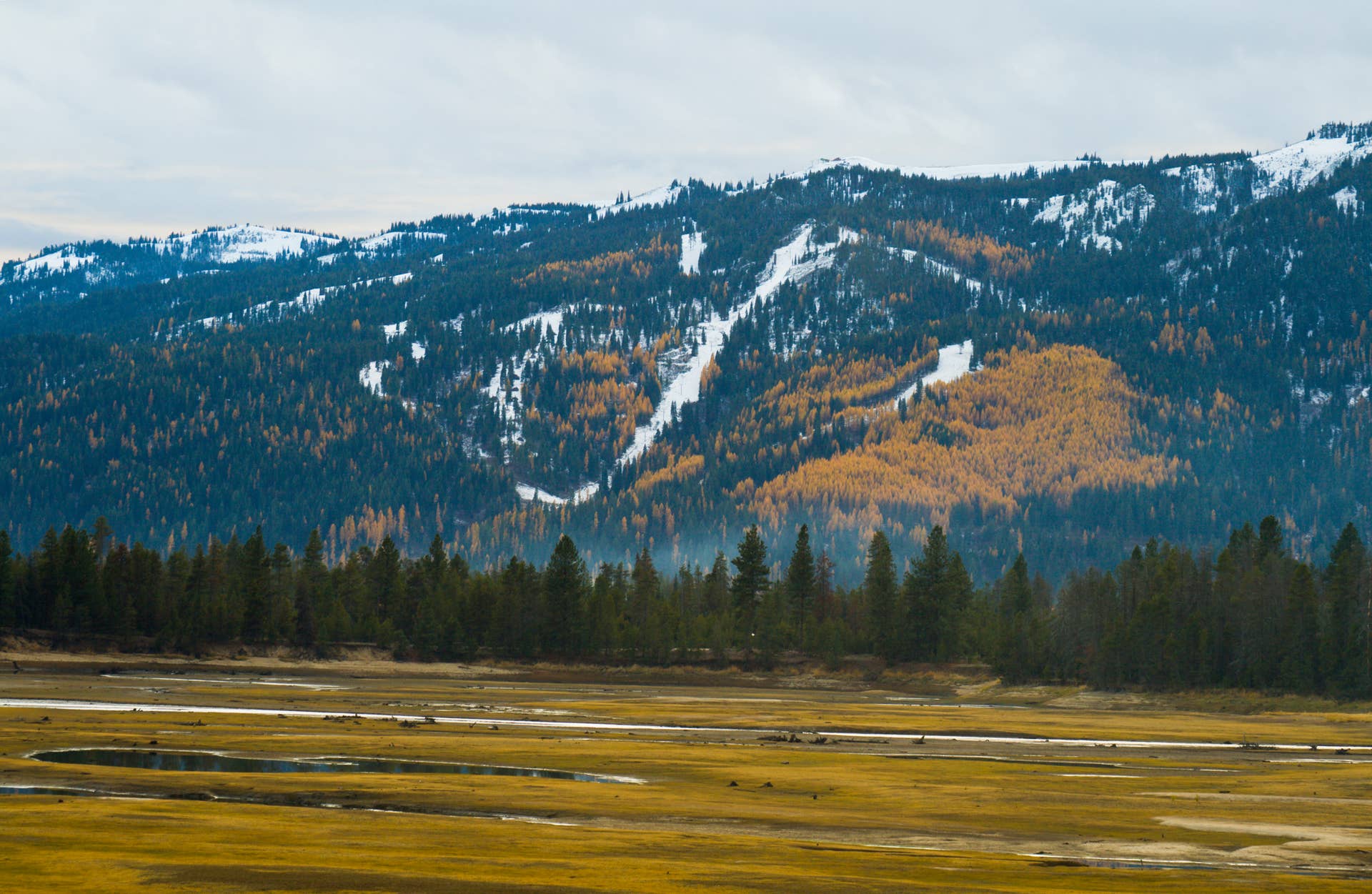 Lift Tower Will Need To Be Replaced, Tamarack Suffers "Gut Punch" - POWDER