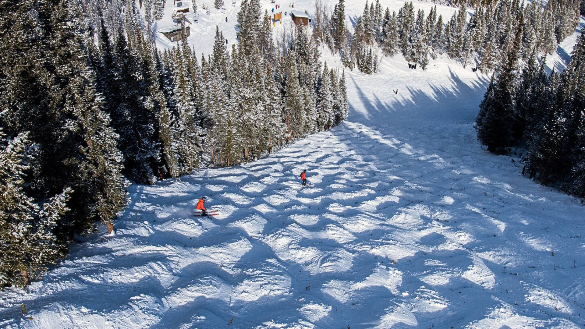 How To Ski Moguls: 7 Essential Tips for All Skill Levels - POWDER