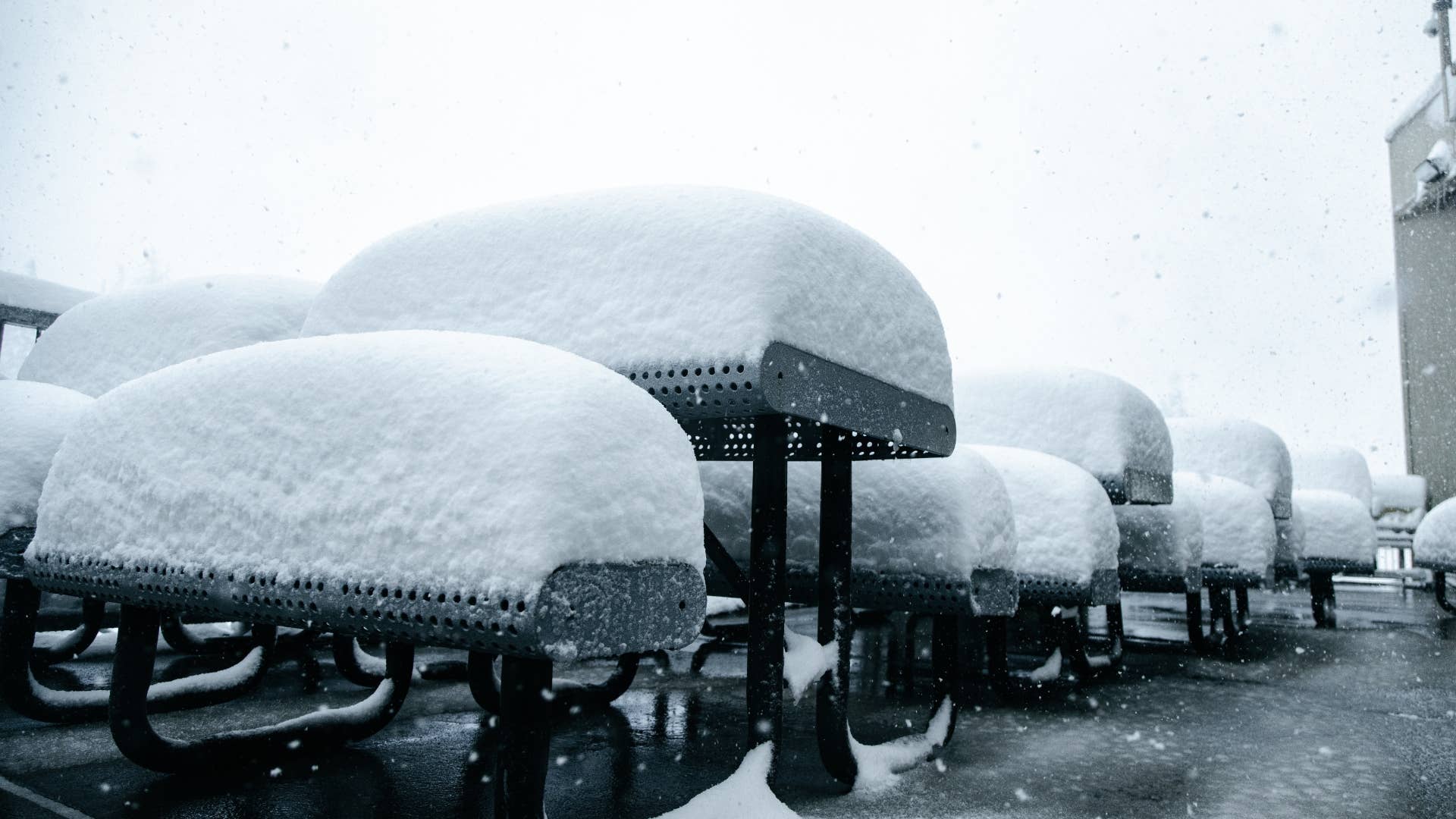 How Much Snow Counts as a Powder Day? (Poll) - POWDER