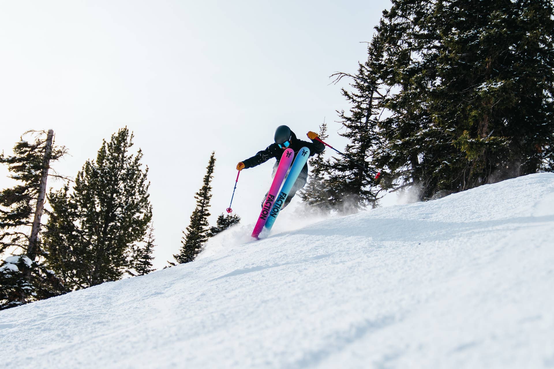 Review: Faction Studio 2 - Powder