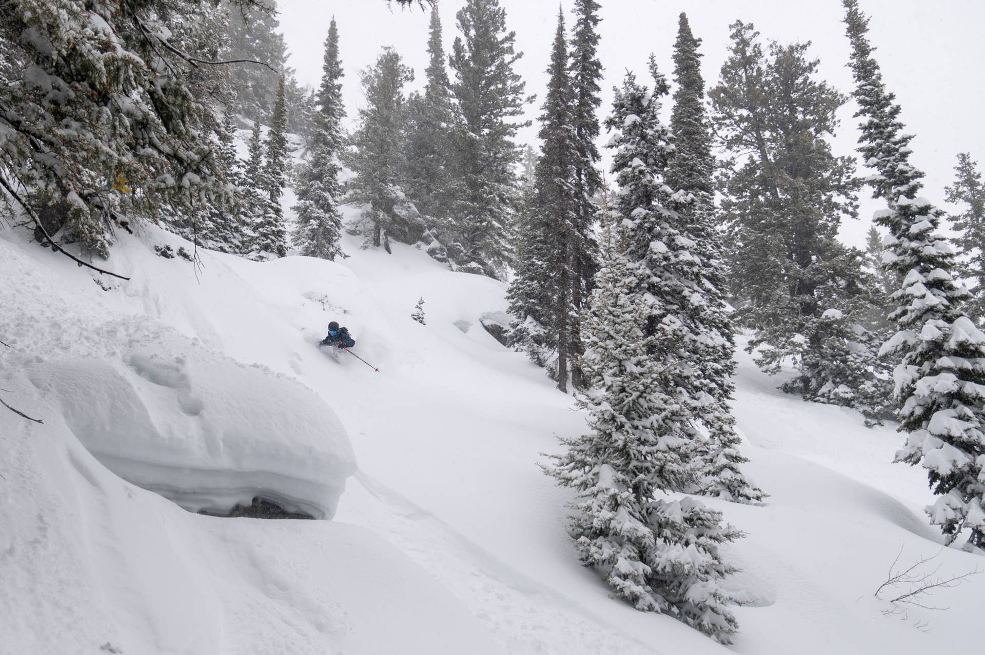 Best Powder Skis of 2026, Ridden and Reviewed - Powder