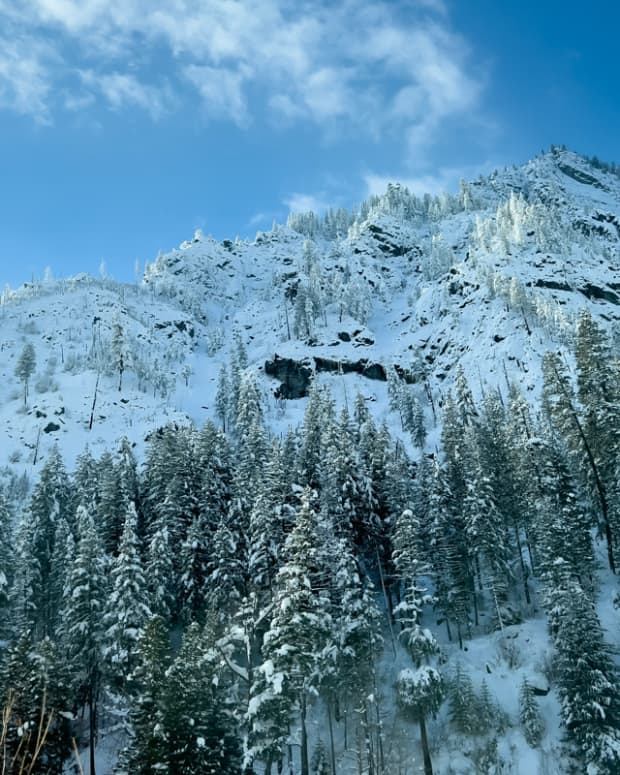 74-Year-Old "Lifelong" Skier Dies at Washington Ski Resort