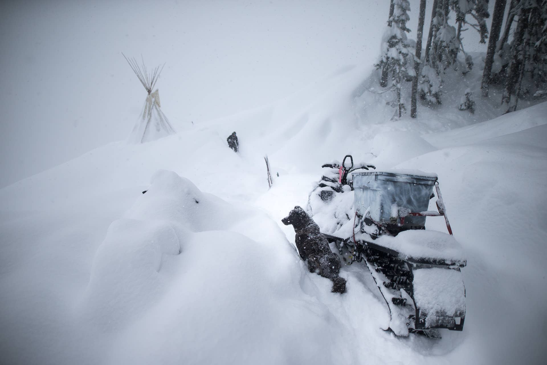 Rory Bushfield Has Gone from Professional Skier to Professional Personality
