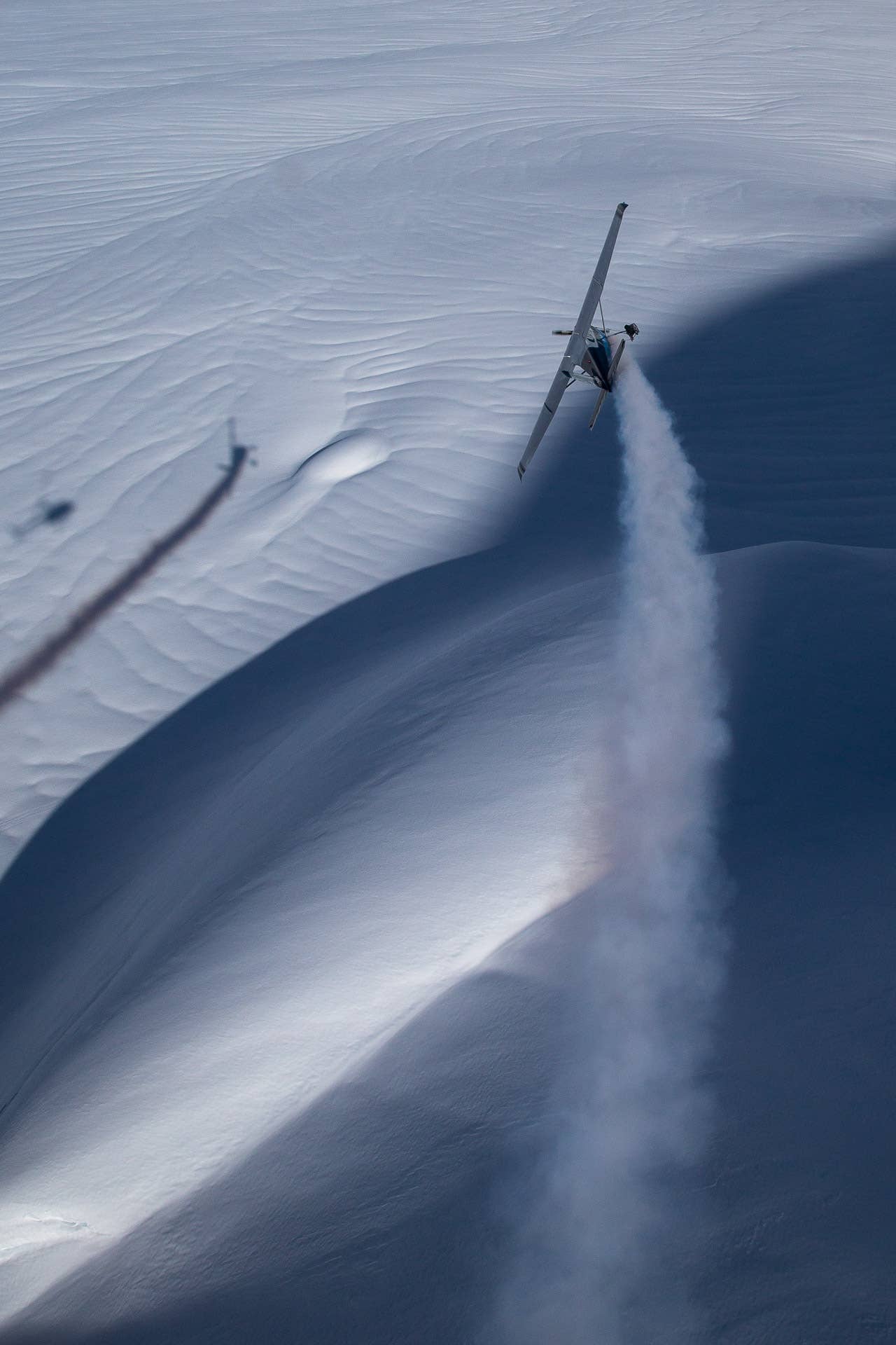 Rory Bushfield Has Gone from Professional Skier to Professional Personality