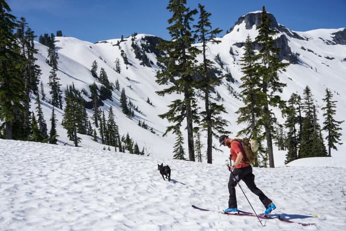 Powder Review: Strafe Recon Softshell Kit