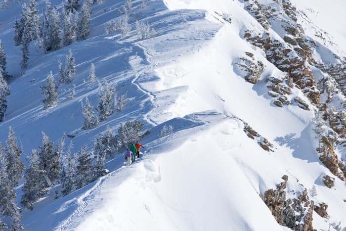 Will Shred for Food at Utah's Ski Resorts