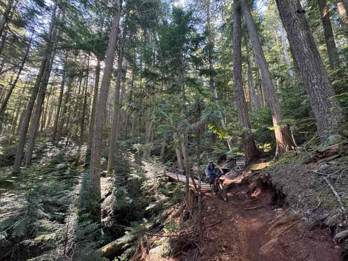 The Skier's Guide to the 2024 Whistler Bike Park The Skier's Guide to the 2024 Whistler Bike Park