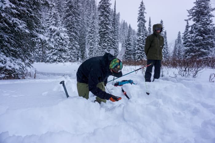 Companion Rescue Practice 101