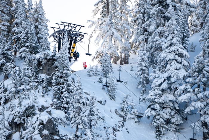 The 8 Best Resorts for Tree Skiing in North America