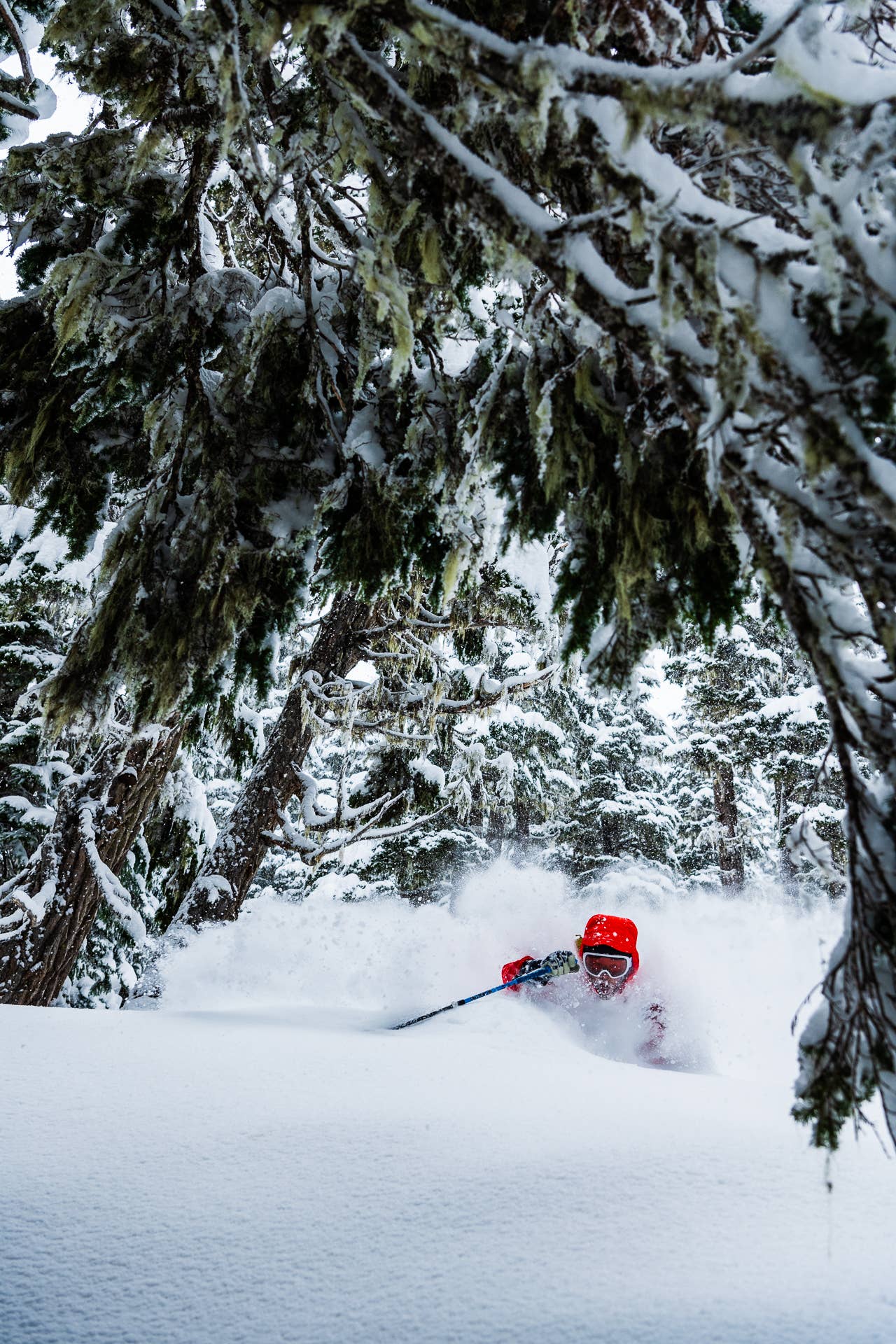 Shames Mountain is a Home that Skiers Built