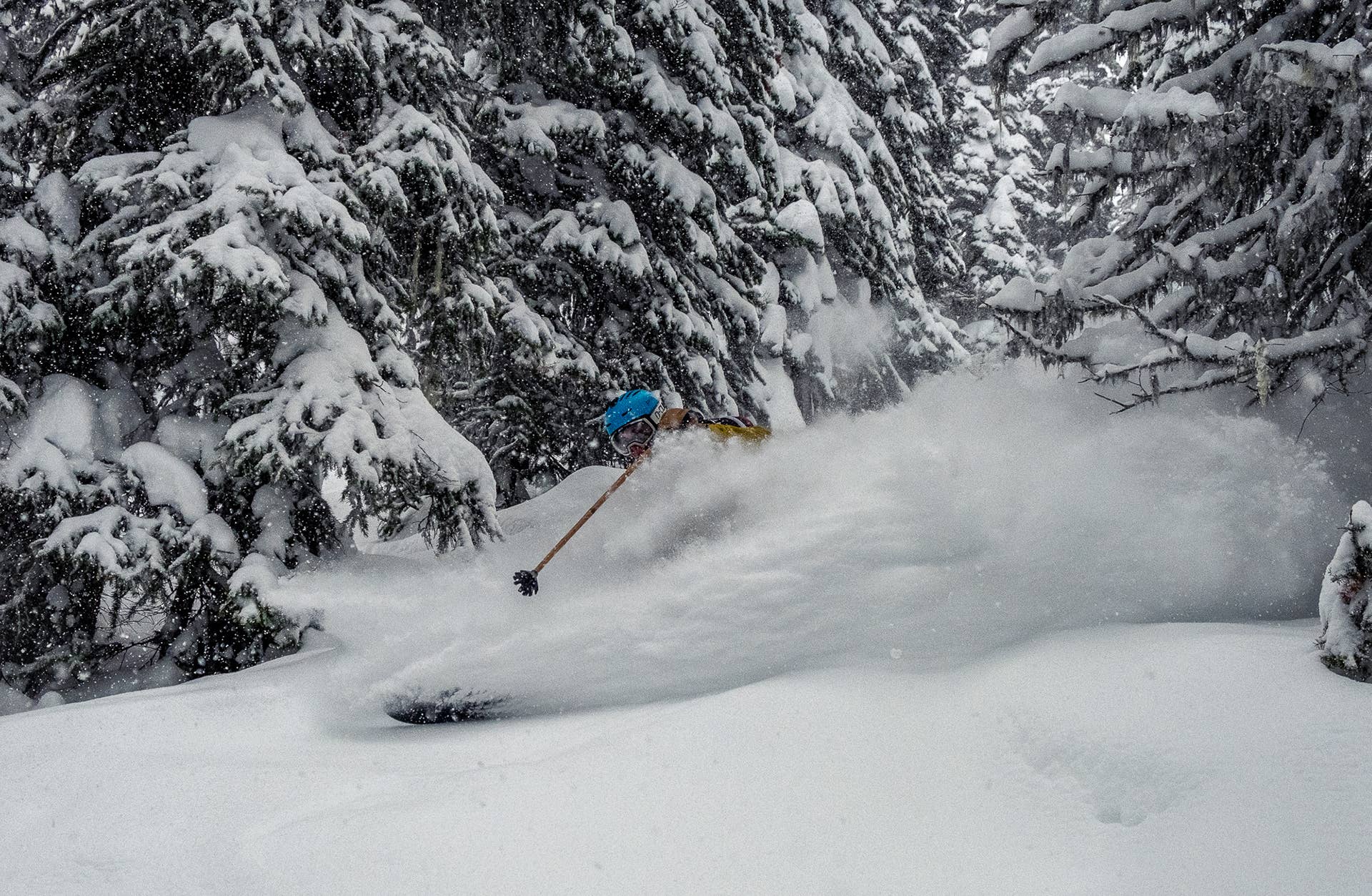 Powder Profile: Connor Ryan—Skiing Amplifies Spiritual Connection %%sep ...
