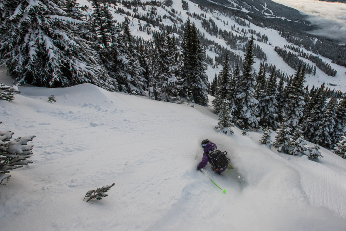 Storm Dispatch: Whistler Blackcomb Marks 50th with Big Powder