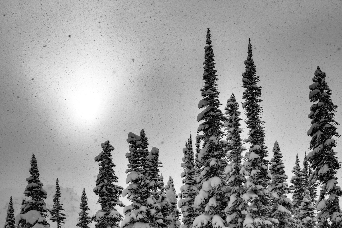 Why Skiers Should Care About El Niño