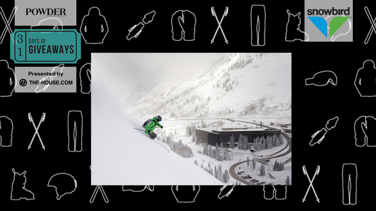 31 Days of Giveaways—Snowbird