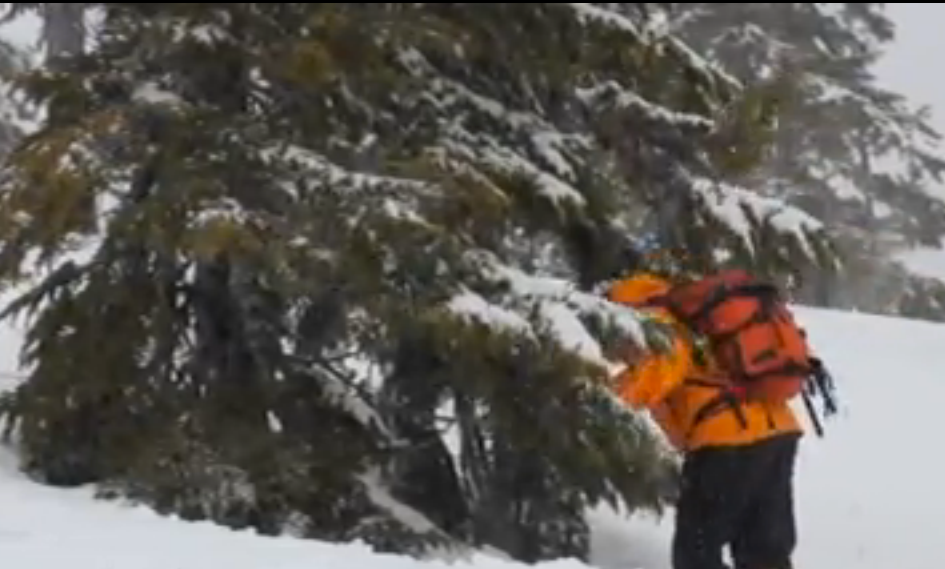 Tree Well Danger an 'Underappreciated Risk'