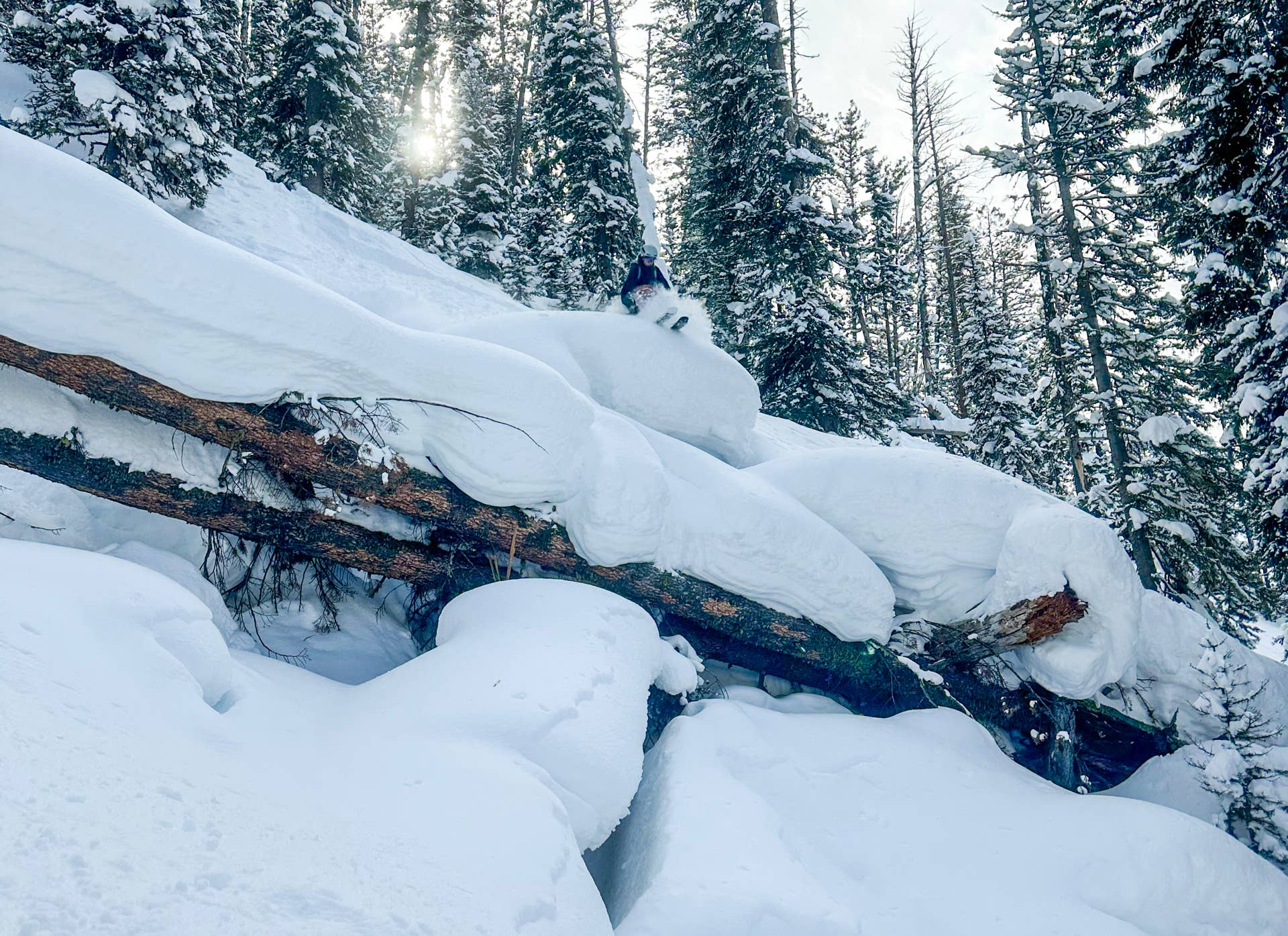 Powder Review: Moment Wildcat Tour