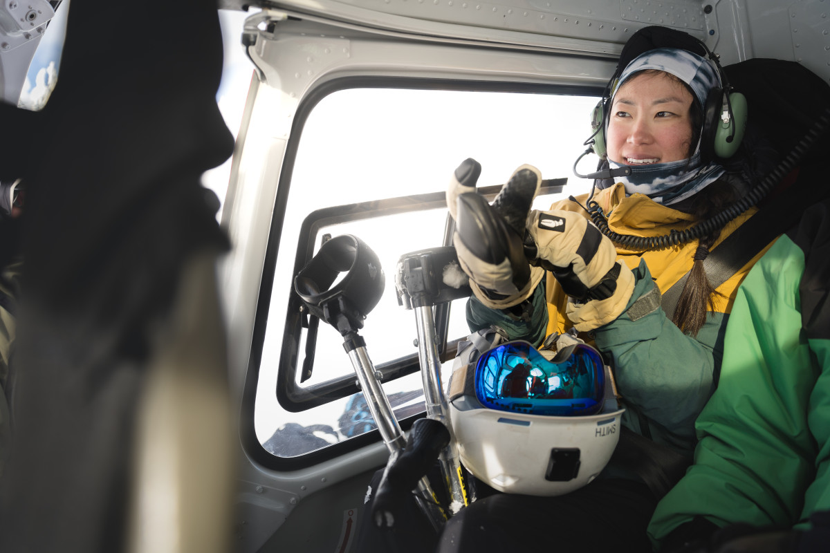 Parallel Lines: Anna Soens