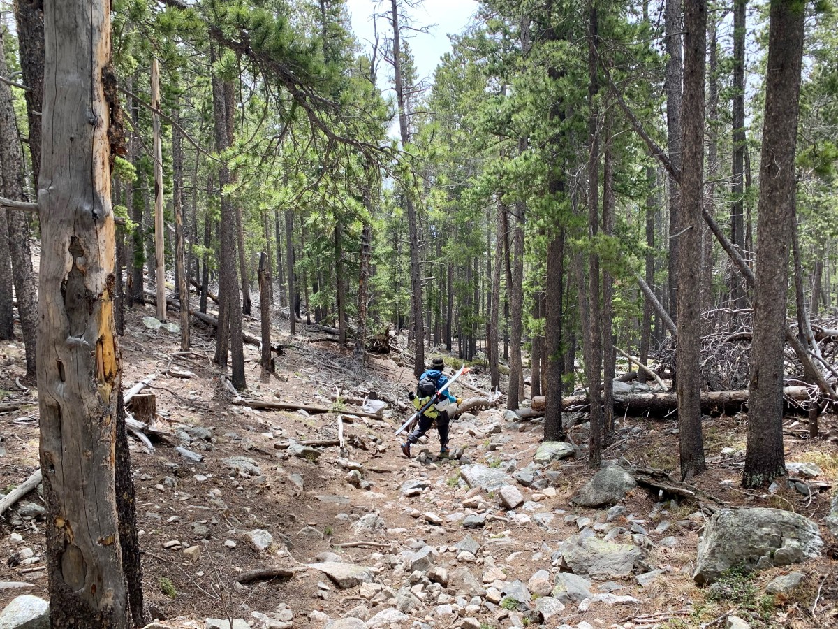 An Ode to Free-Heel Corn Skiing