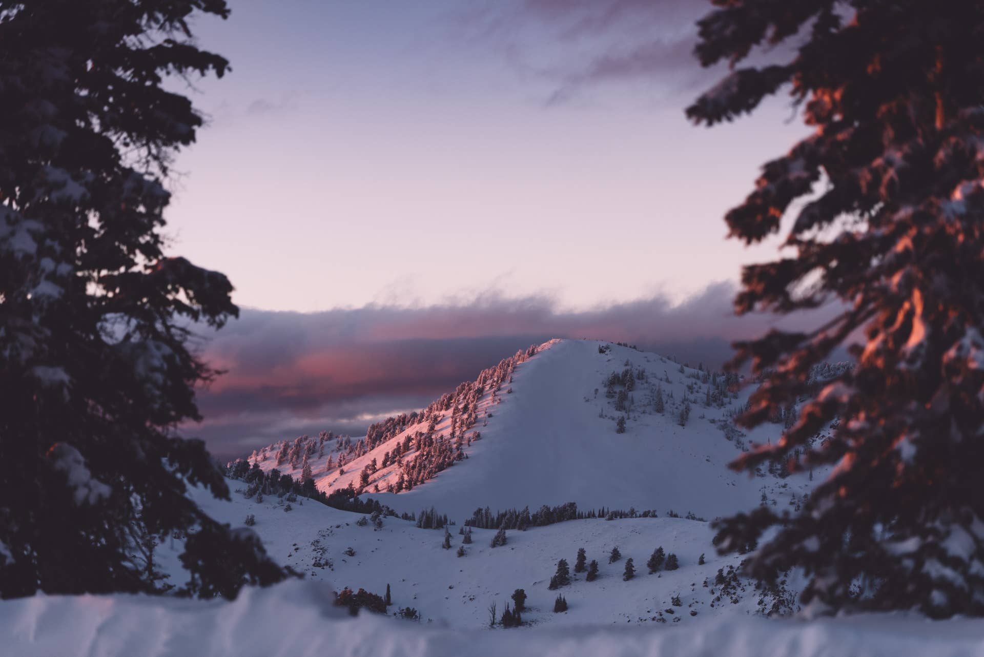 Powder Mountain, Utah Is Creating An Open-Air Art Museum