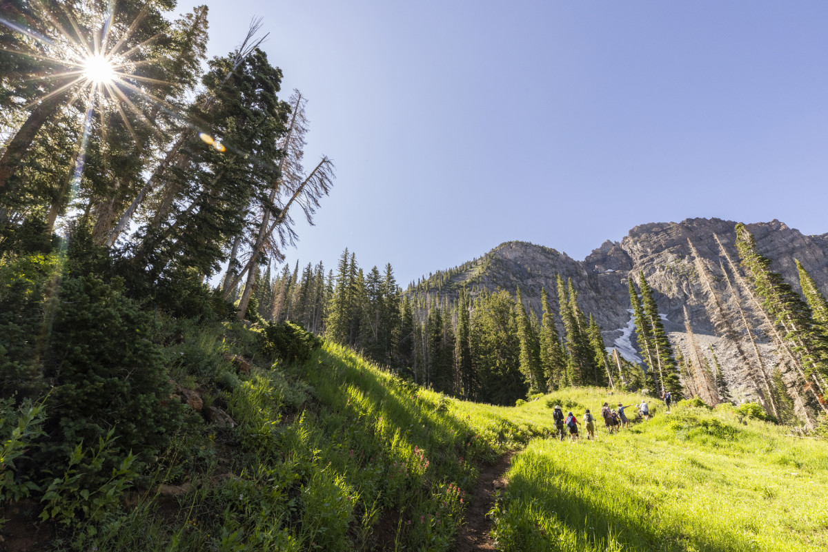 Summer Trails Beautiful Any Half Day Hikes That You Recommend During