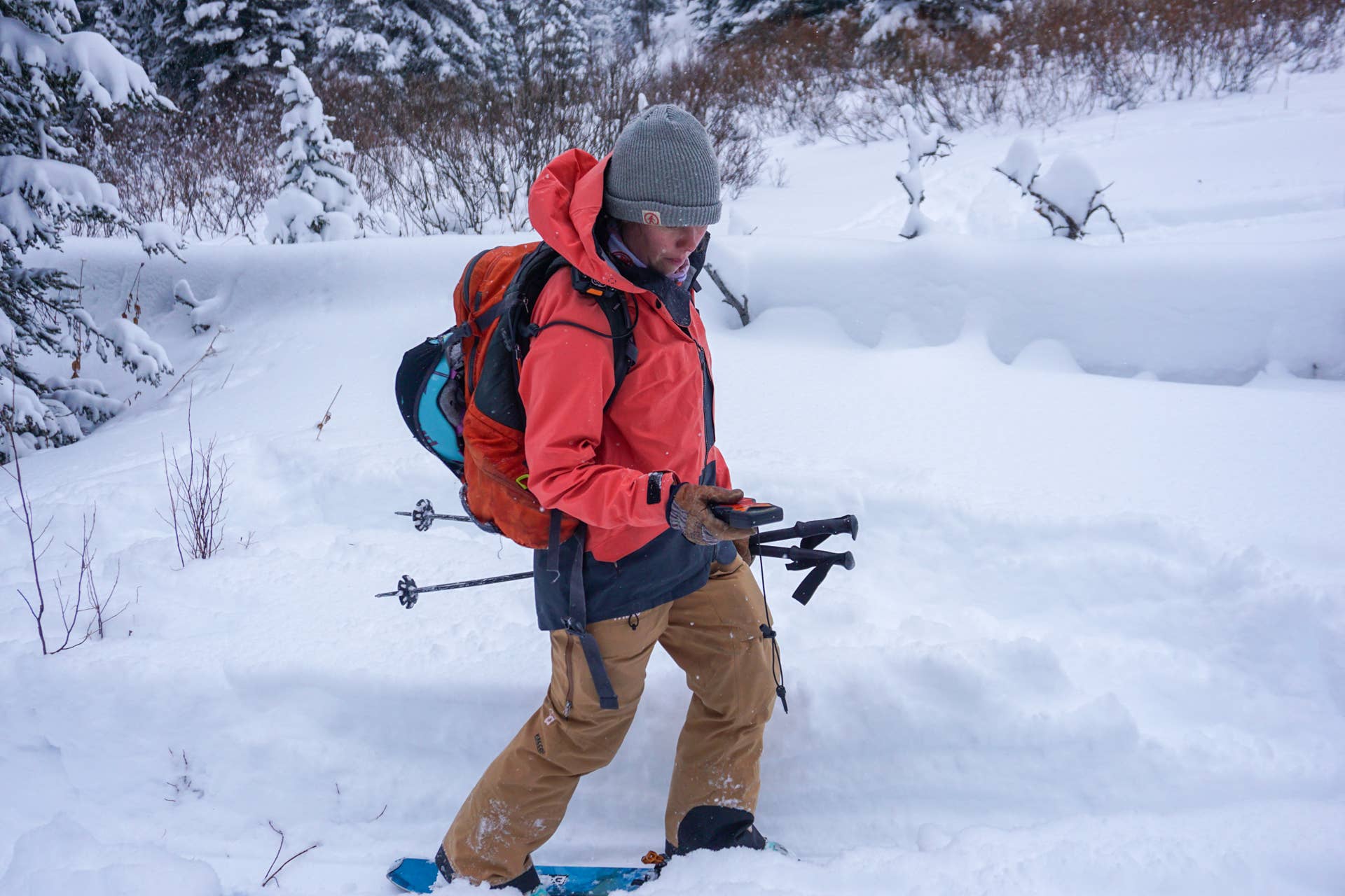 Taking the First Steps in Your Backcountry Education